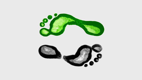 PCF vs LCA: A practical comparison for assessing the impact of food ...
