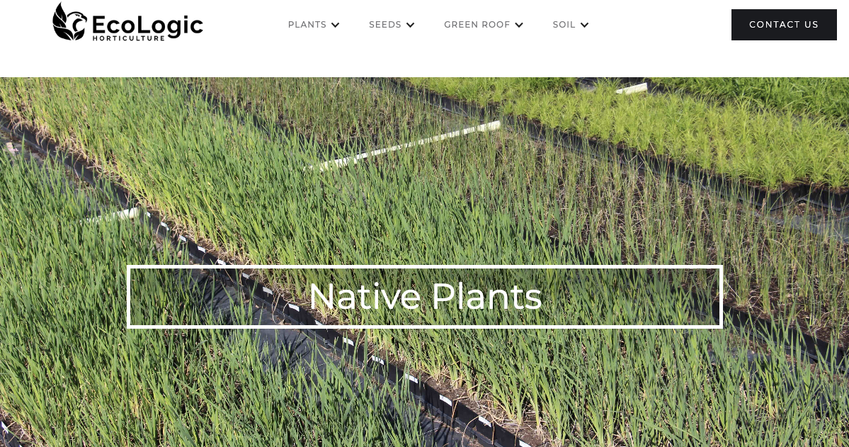 Native Plants - Local open air nursery dedicated to native plants and plugs