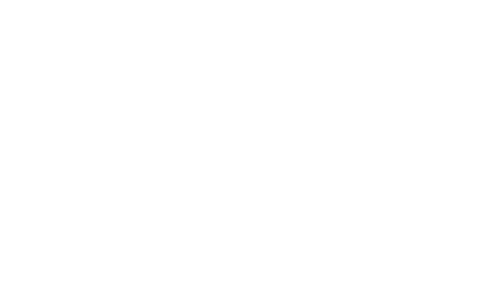 About Dr. Brian Hamlin