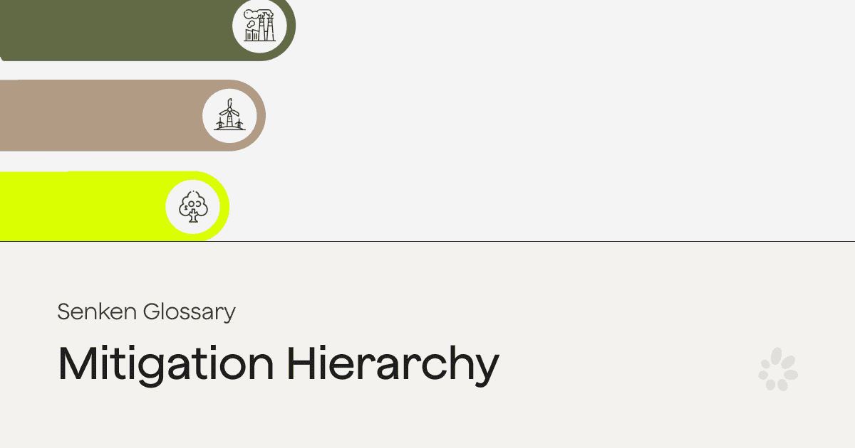 Mitigation Hierarchy
