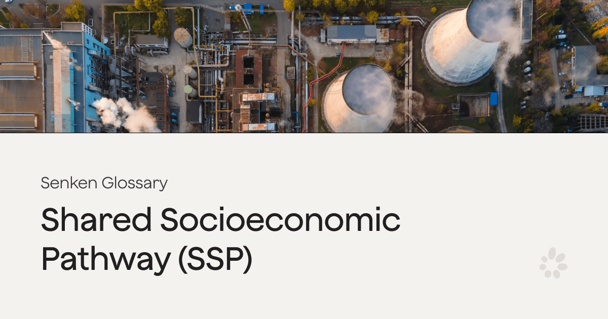 Shared Socioeconomic Pathway (SSP)