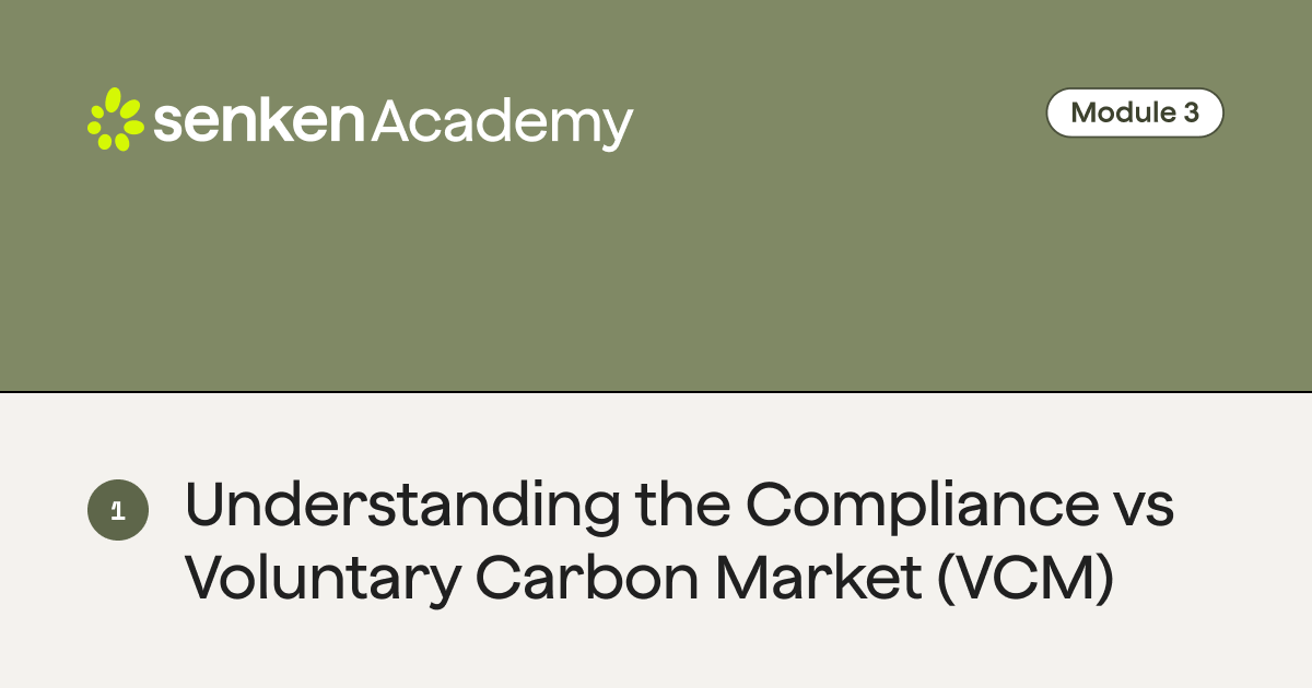 Understanding the Voluntary Carbon Market in 2025