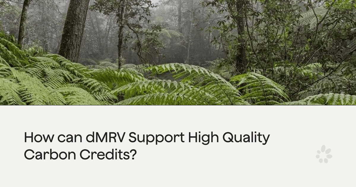 Case Study: How can dMRV Support High Quality Carbon Credits?