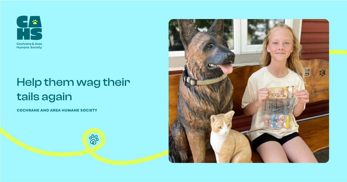 Individual Donation | Cochrane & Area Humane Society