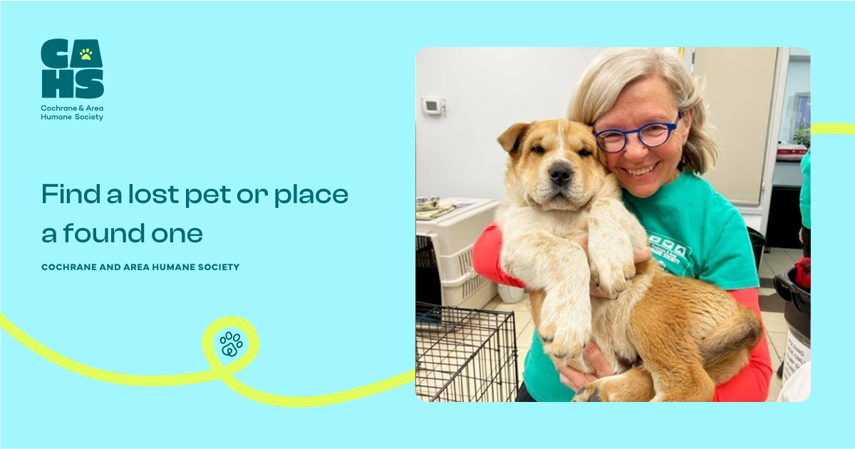 Lost & Found | Cochrane & Area Humane Society