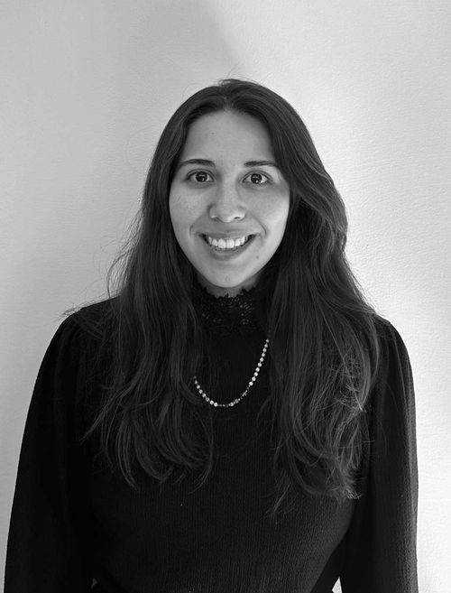 Cómo funcionan los paneles solares: guía simple y clara | Niko Solar