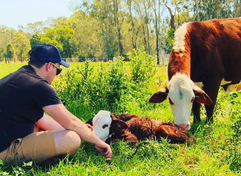 First Nations farming supports Country | Articles | Science Victoria ...