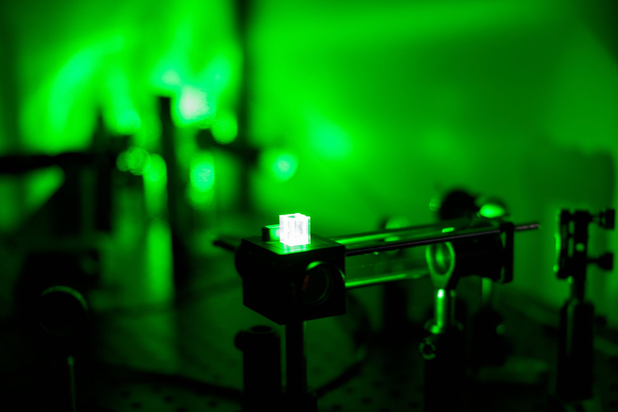 Blinded by the Lights: The Impacts of Light Pollution | Articles ...
