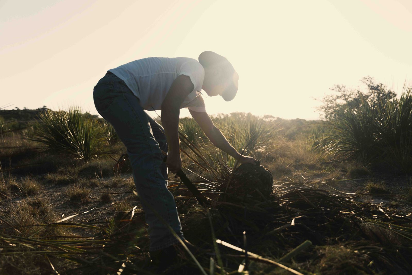 About Desert Door Sotol | Our Story and Craftsmanship