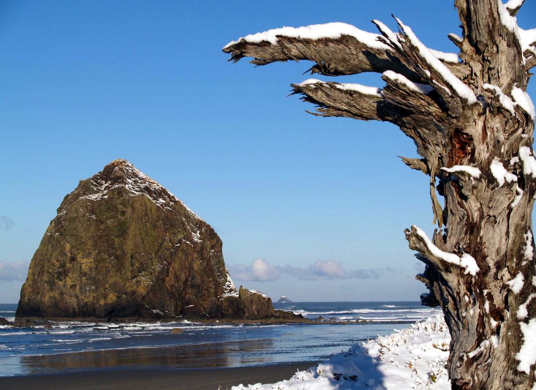 Haystack Rock | Friends of Haystack Rock