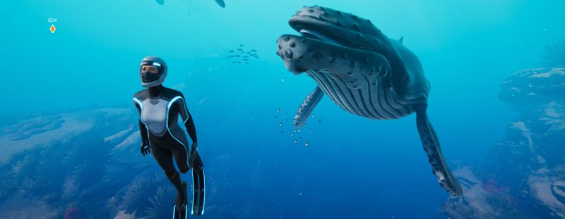 Endless Studios | About us