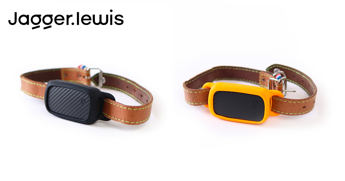 GPS collar for dogs, tracking well-being and outdoor activities ...
