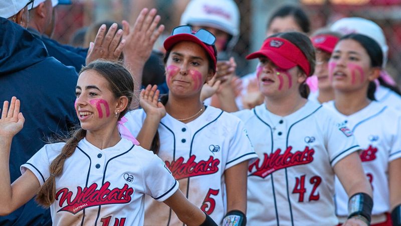 Wildcats Fastpitch - Travel Softball Organization