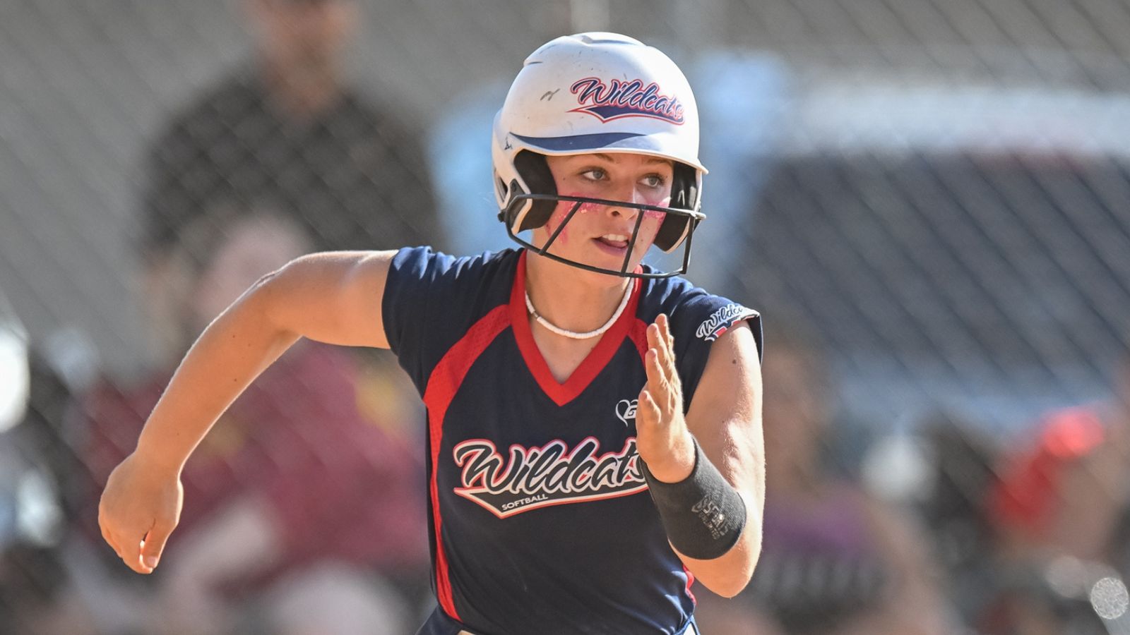 Wildcats Fastpitch - Travel Softball Organization