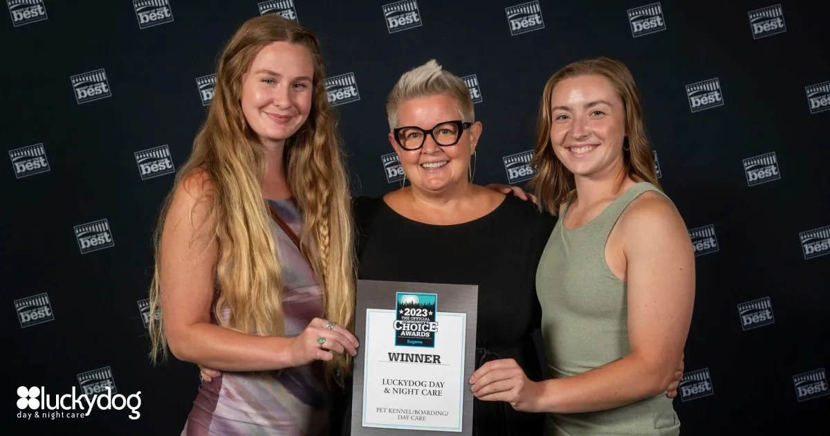 LuckyDog Pack of Experts