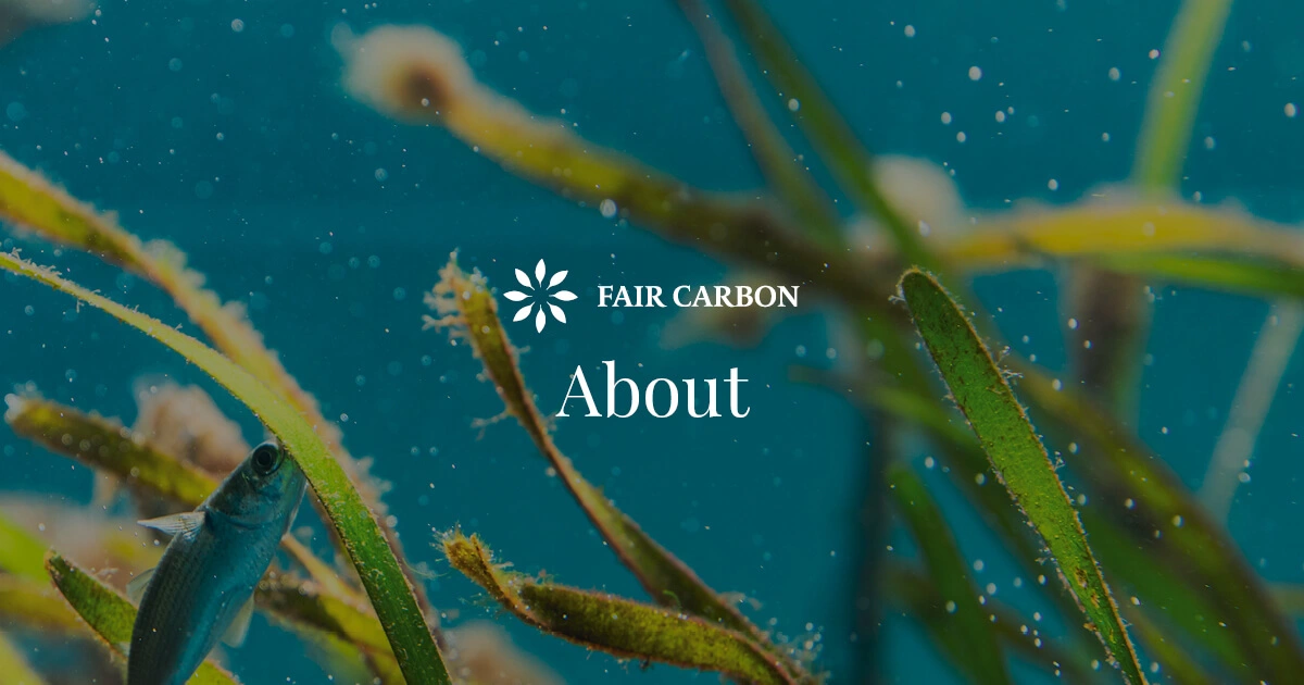 About - Fair Carbon