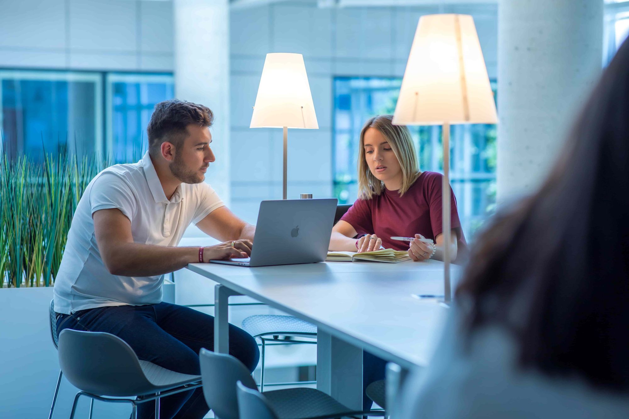 International Business School in Dijon and Lyon | BSB