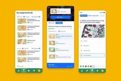 How Google Classroom LMS integration powered a go-to-market strategy
