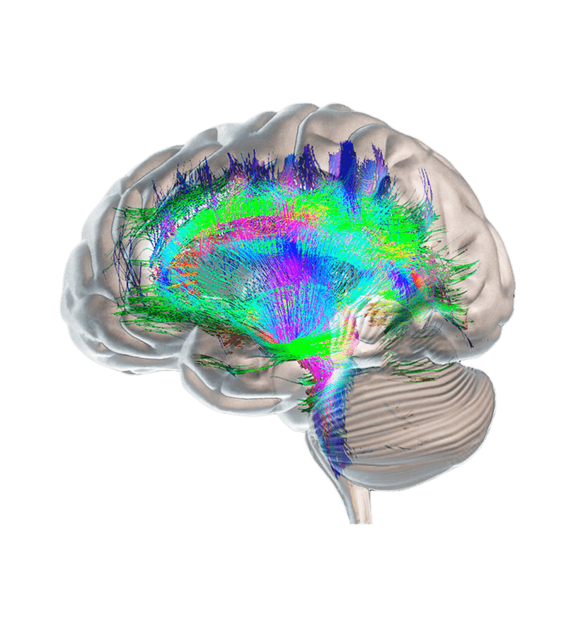 Science | Retrain Your Brain