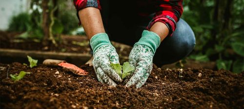 Inspiring community service ideas for nonprofits and communities