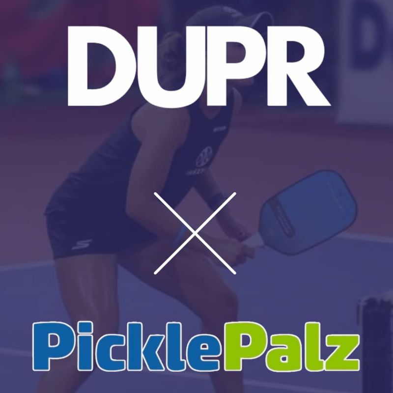 DUPR Blog | How to Get a Pickleball Rating?