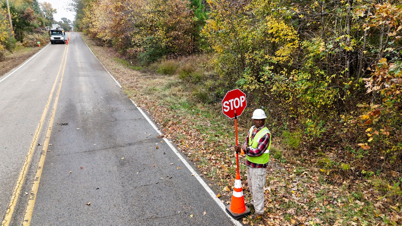 West Tree Service | Professional Tree Care and Emergency Services in ...