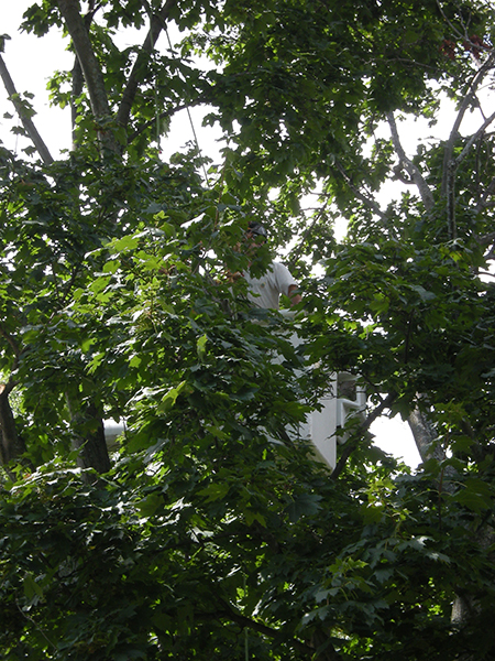 Beware Of The Enemy Above