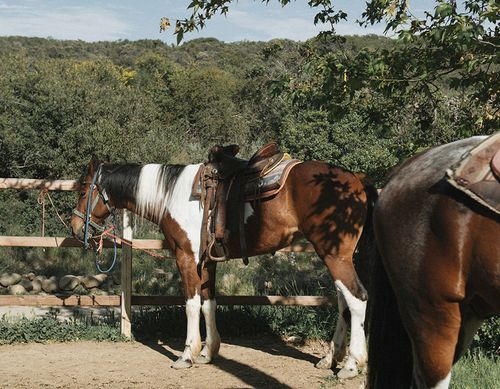 Cuatro Cuatros, Residences, Hotel & Experiences