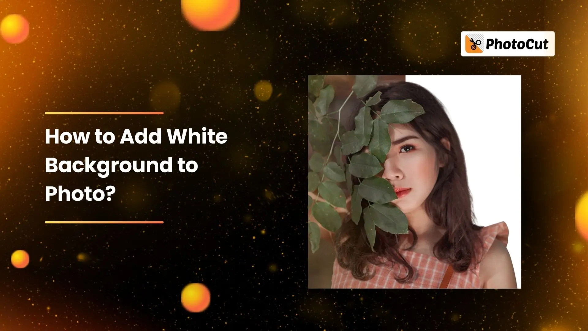 Add White Background to Photo Online in a Click | PhotoCut