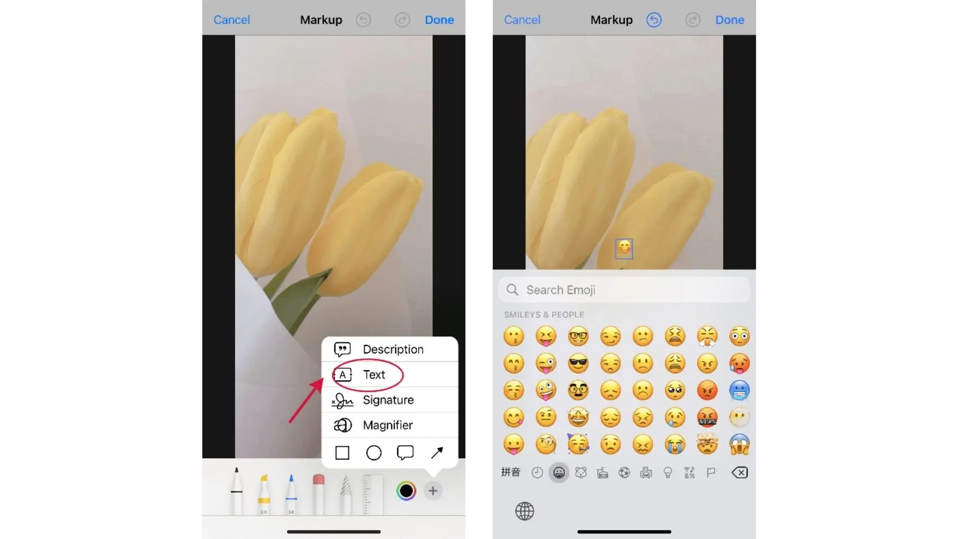 How to Add Emoji to Photo: Easiest Ways to Make Your Photos Interesting ...