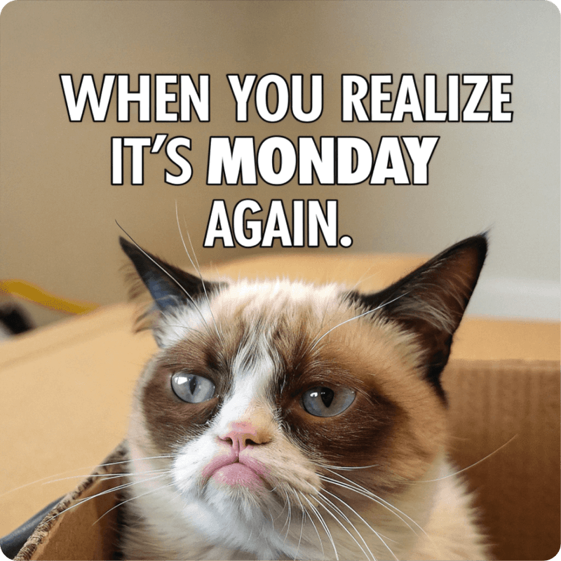 Free AI Meme Generator: Custom AI-generated memes