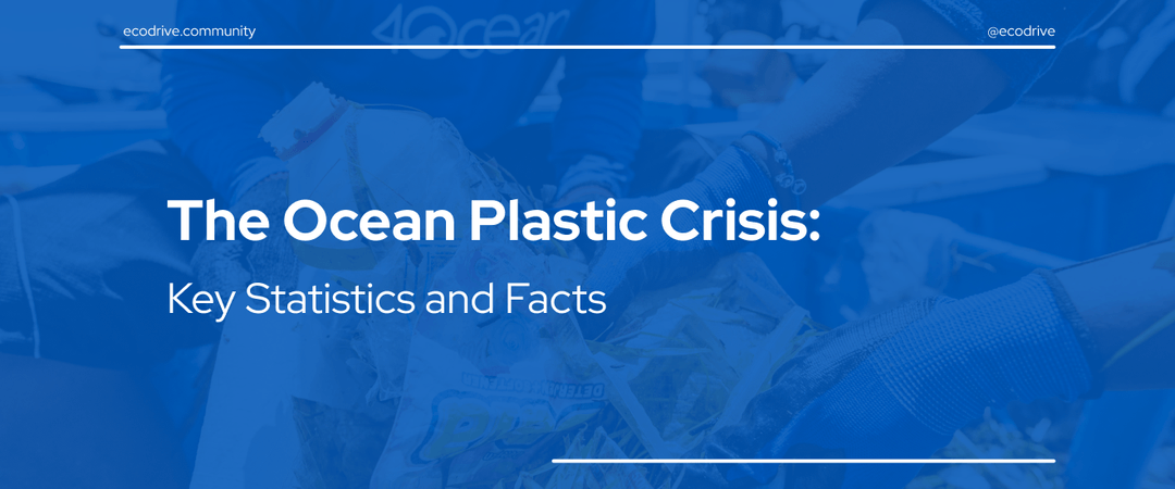 The Ocean Plastic Crisis: Key Statistics and Facts | Ecodrive