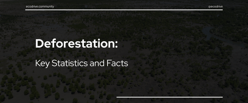 Deforestation: Key Statistics and Facts | Ecodrive