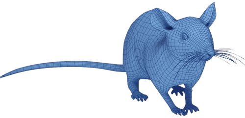 FcγR humanized mouse models for efficacy and PK/PD of therapeutics ...