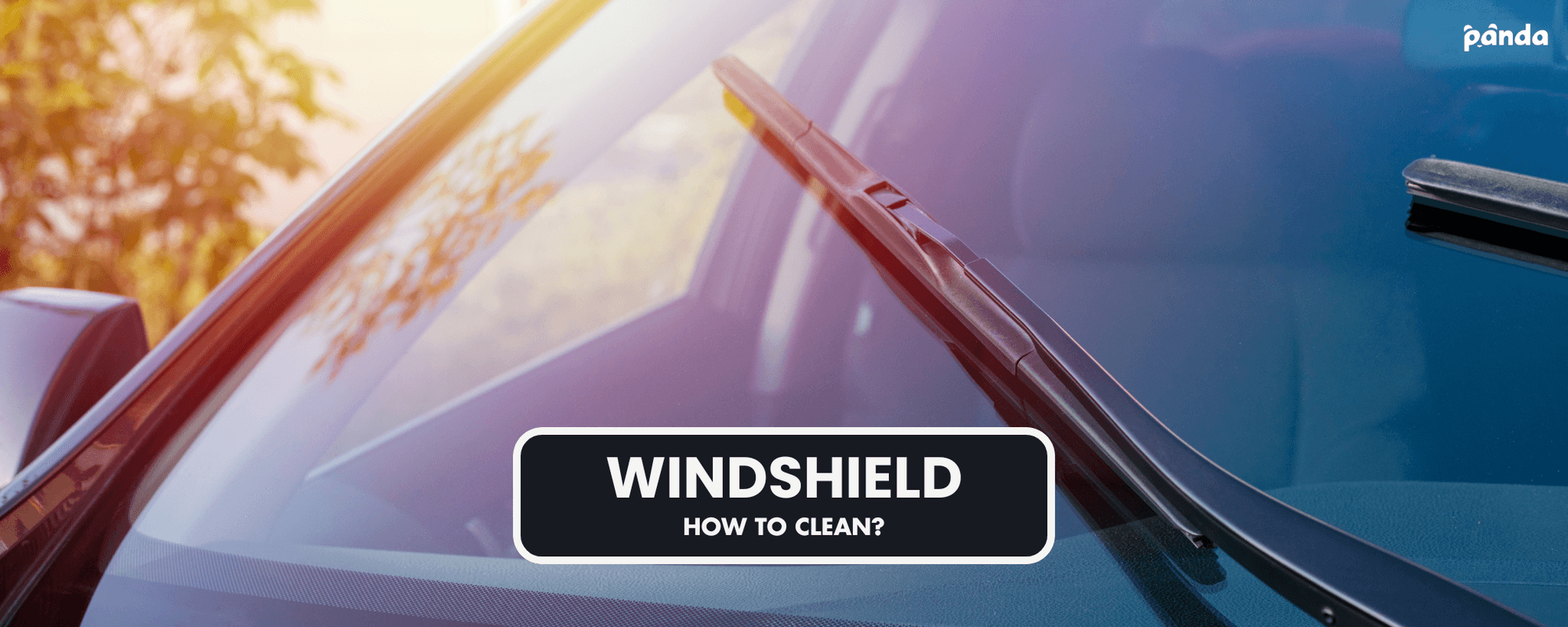 The Ultimate Guide To Cleaning Your Car Interior Like A Pro | Panda Hub ...