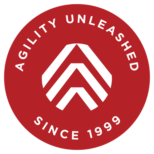 Allari ERP Support Service | Balancing Stability and Transformation ...