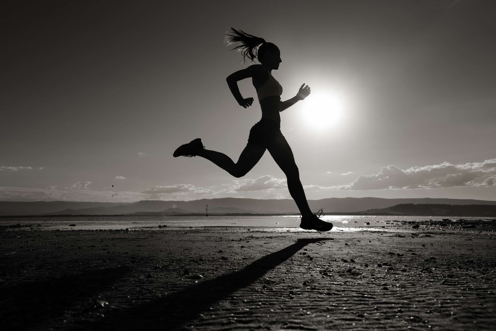 ActiveTherapy Alliance