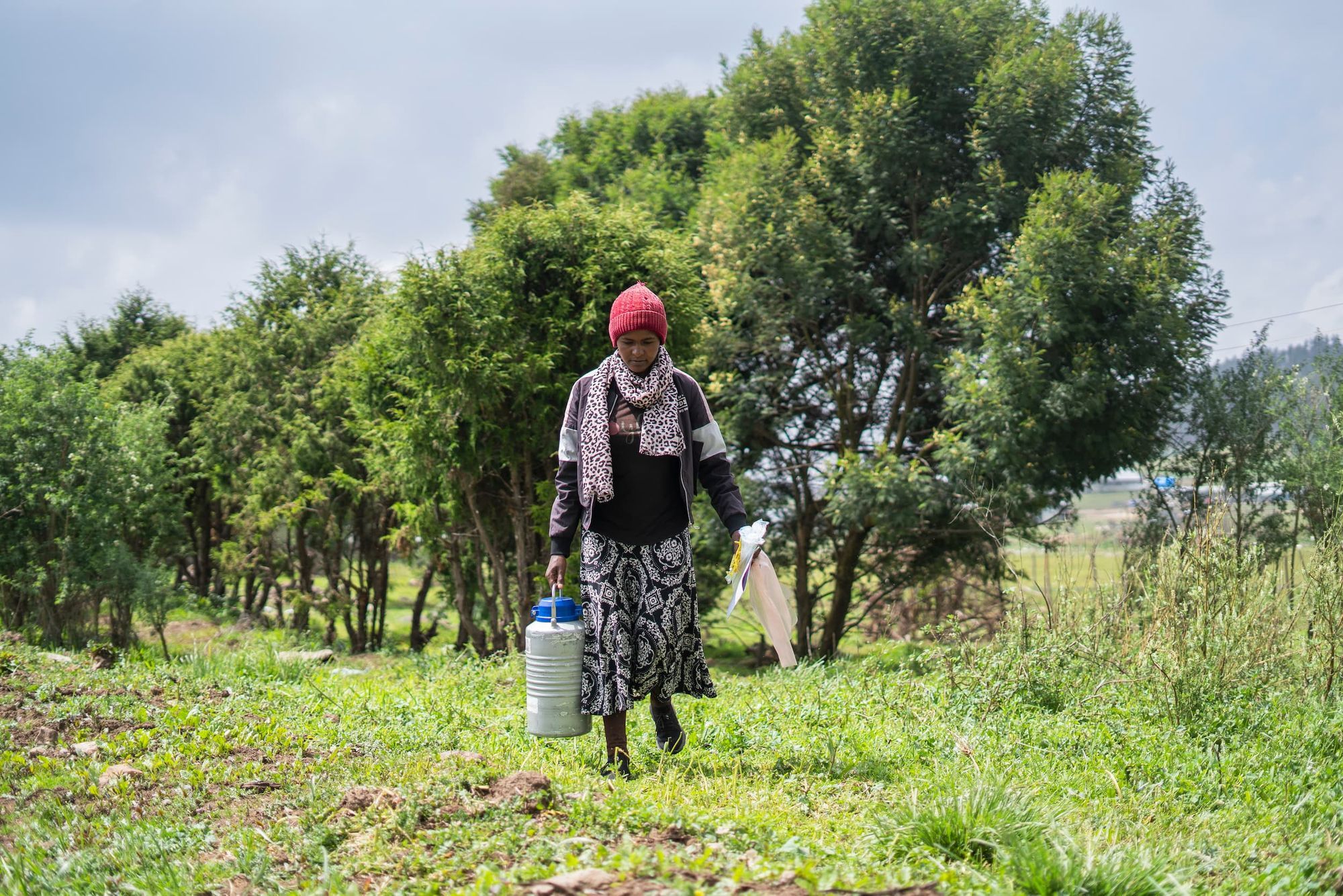 Project Mercy - Home