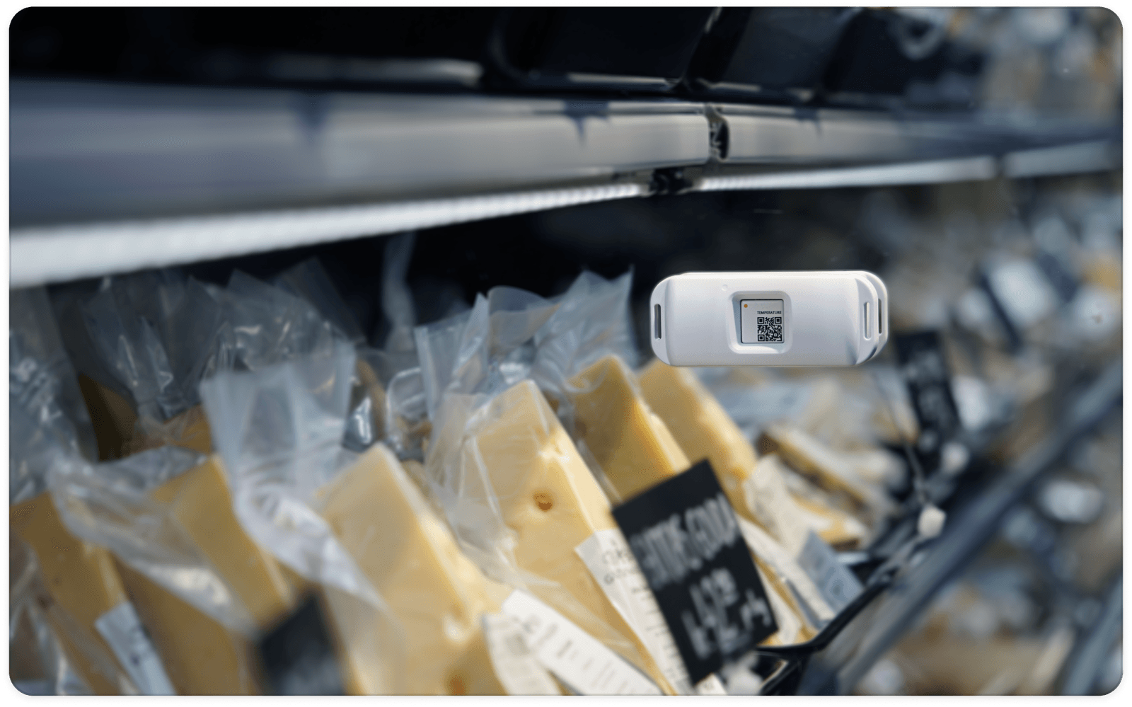 Temperature Monitoring in Food Service | Disruptive Technologies