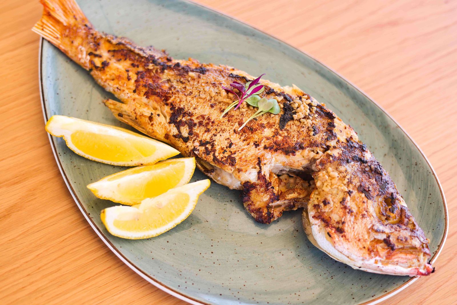 Jack Salmon | Fish & Grill