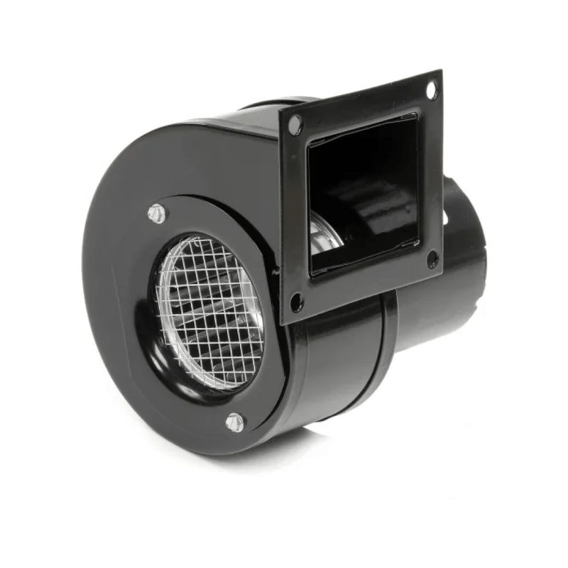 Regal Rexnord Motors