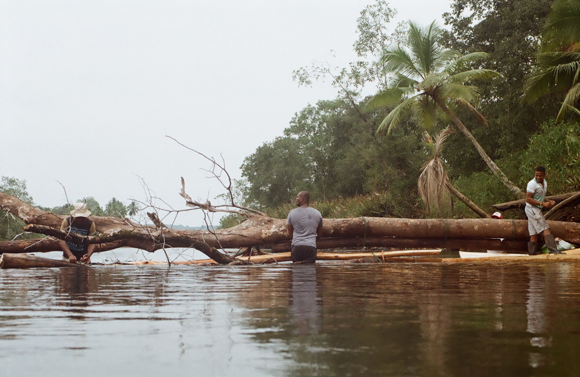 How the environment shapes us instead of the other way around | HOUSE ...