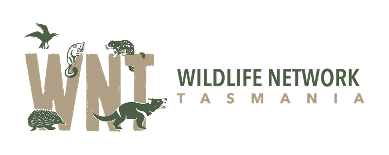 Wildlife Network Tasmania - Protecting Tasmania's Wildlife and Volunteers