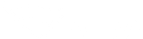 Quvia: Transforming Connectivity & Digital Experiences