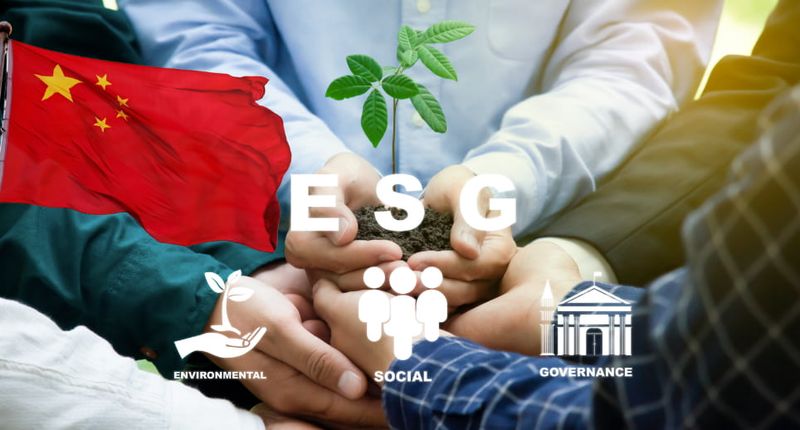 China ESG Fundamentals: Implications for 2025 Business Strategy