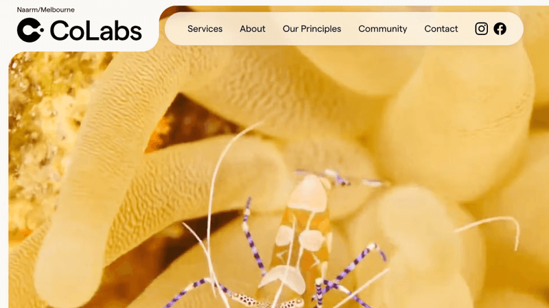 25+ Best Examples of SideBar Menu Designs | Navbar Gallery