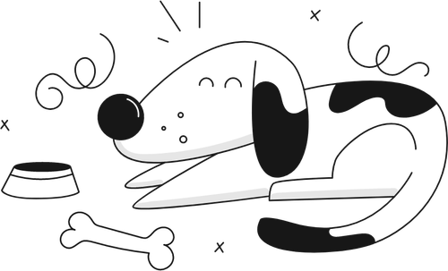 Discord Mod Application Form Template Free 2024