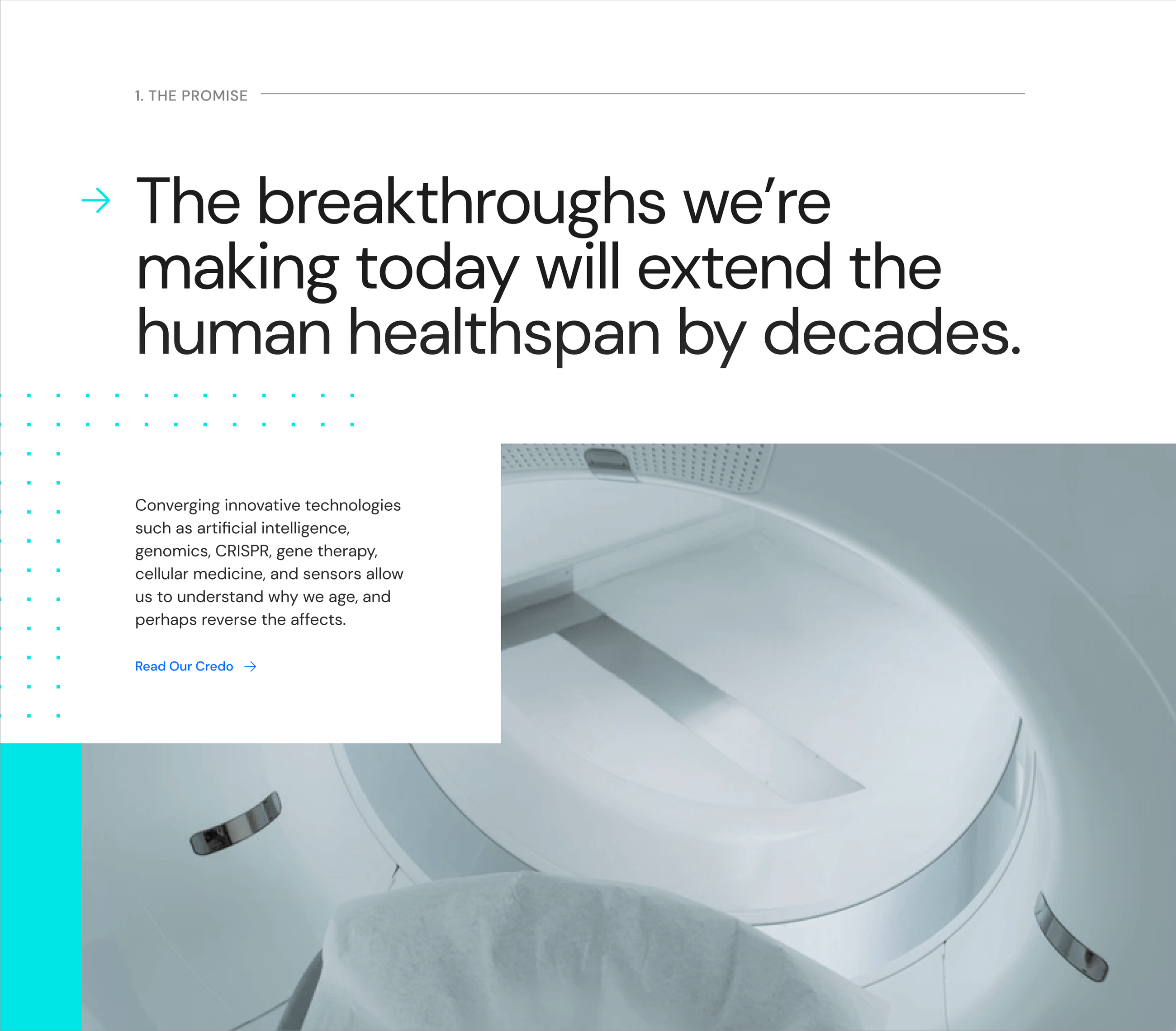 Create Ape: Digital Design & User Experience Agency