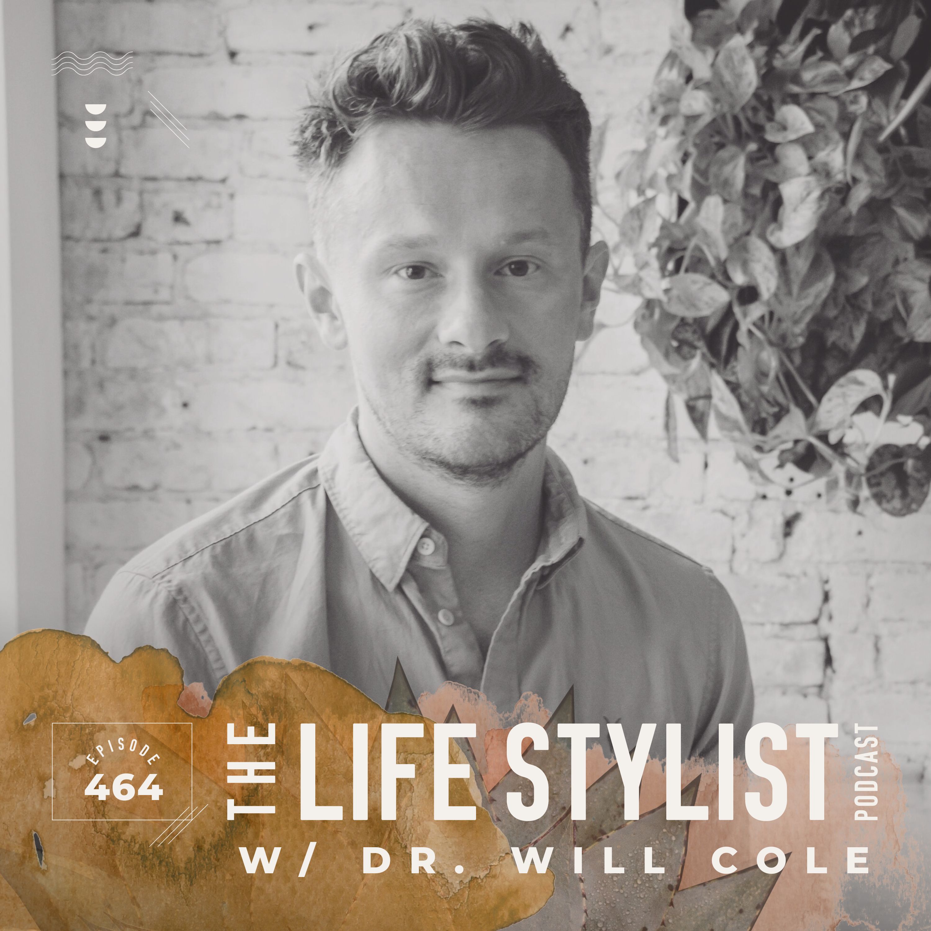 464. Dr. Will Cole Functional Medicine Explained: Gut Health ...