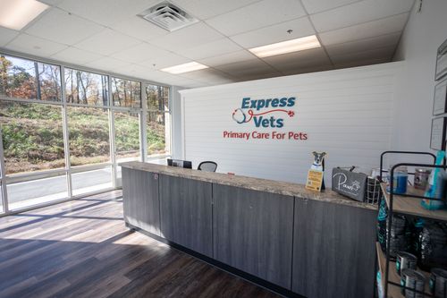 High-Quality Vet Hospital in Northern Georgia | Express Vets